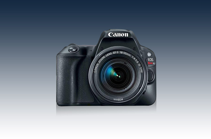 Canon EOS Rebel SL2 Images [HD]: Photo Gallery of Canon EOS Rebel SL2 ...