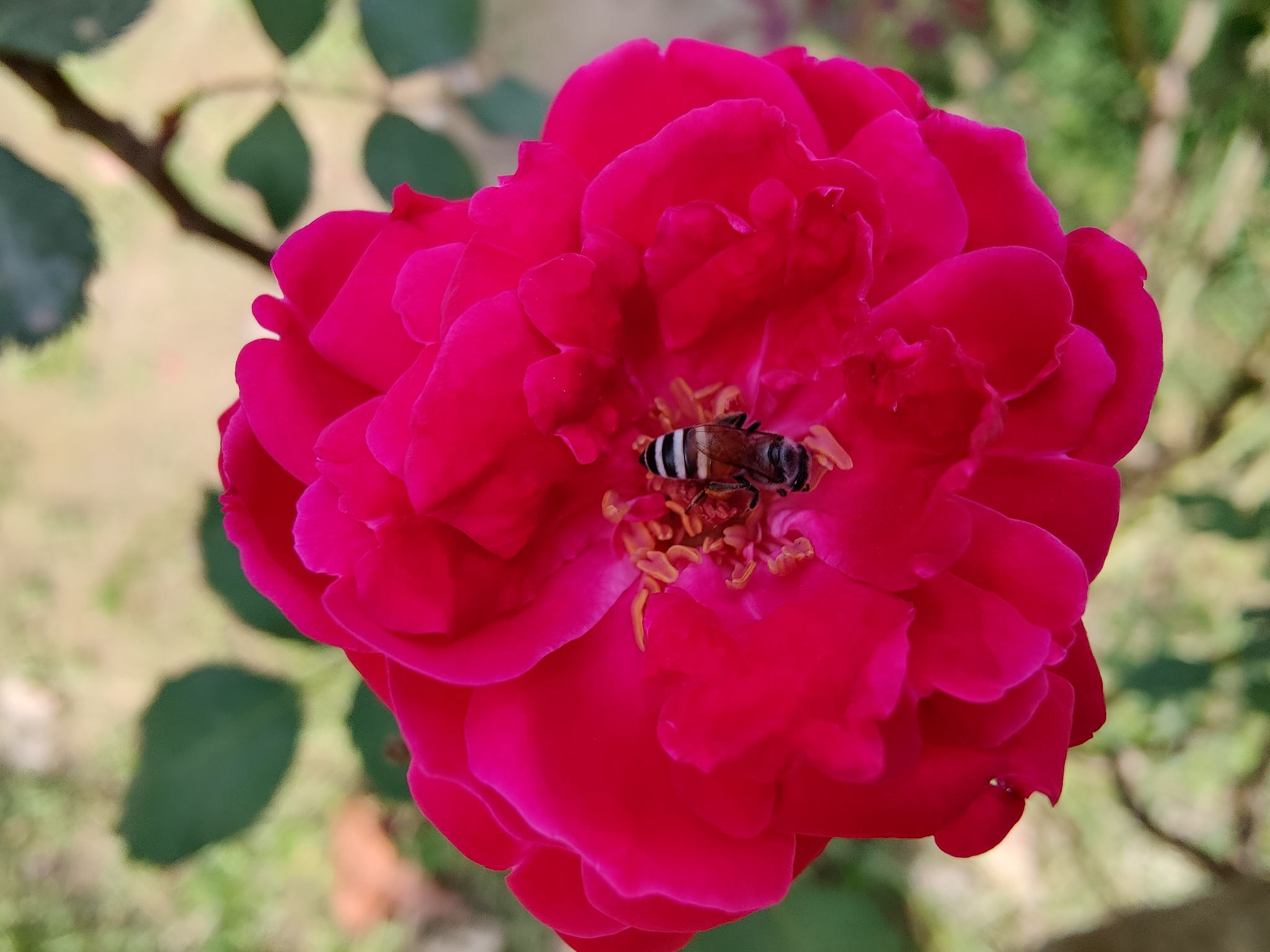 OnePlus 9 Pro Camera Samples Images [HD]: Photo Gallery of OnePlus 9 ...