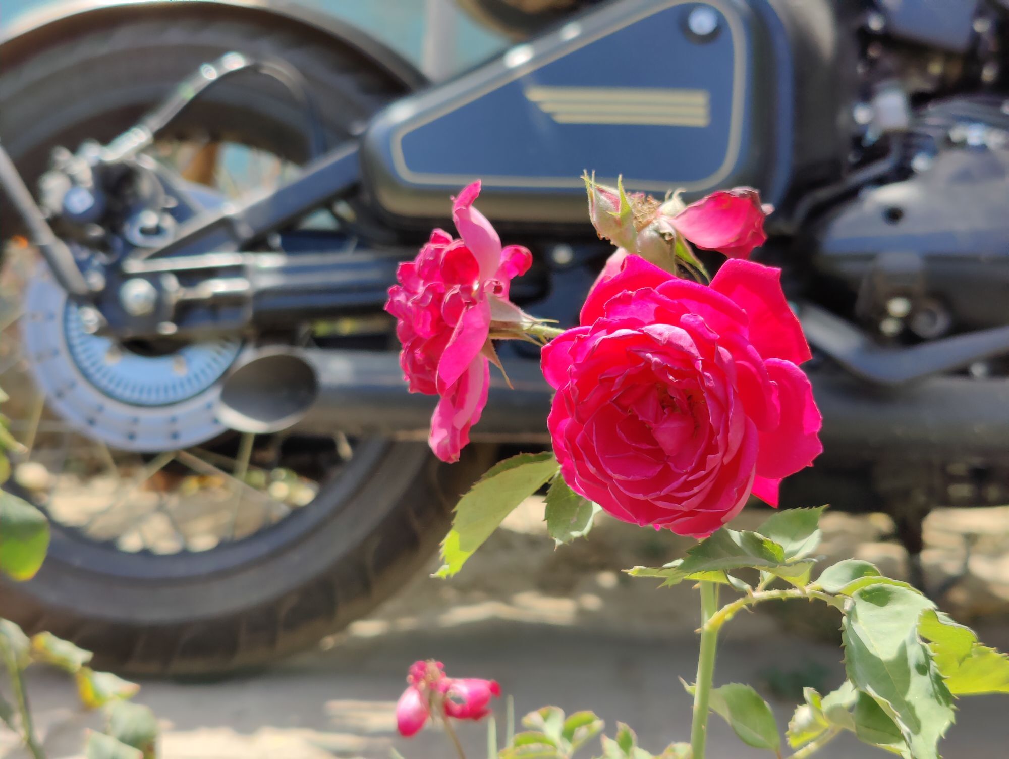 OnePlus 9 Pro Camera Samples Images [HD]: Photo Gallery of OnePlus 9 ...